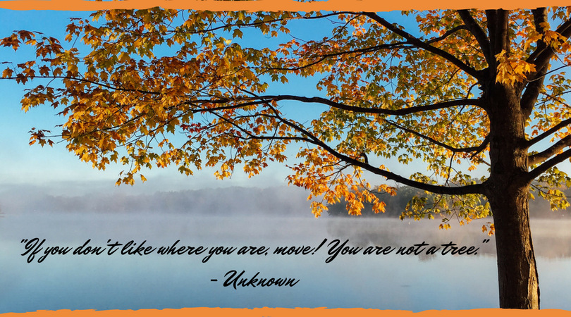 You Are Not a Tree – Monica Hirman